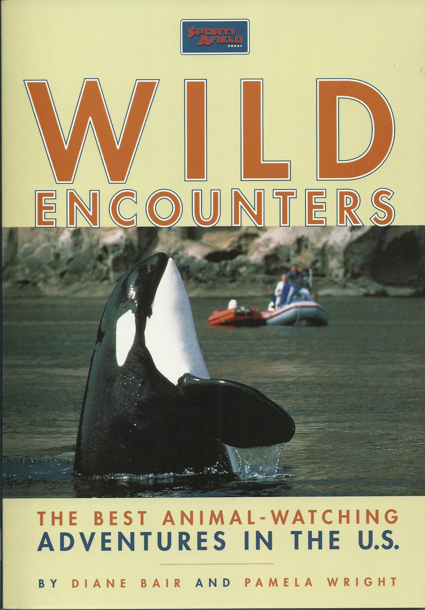 African Odyssey : 365 Days